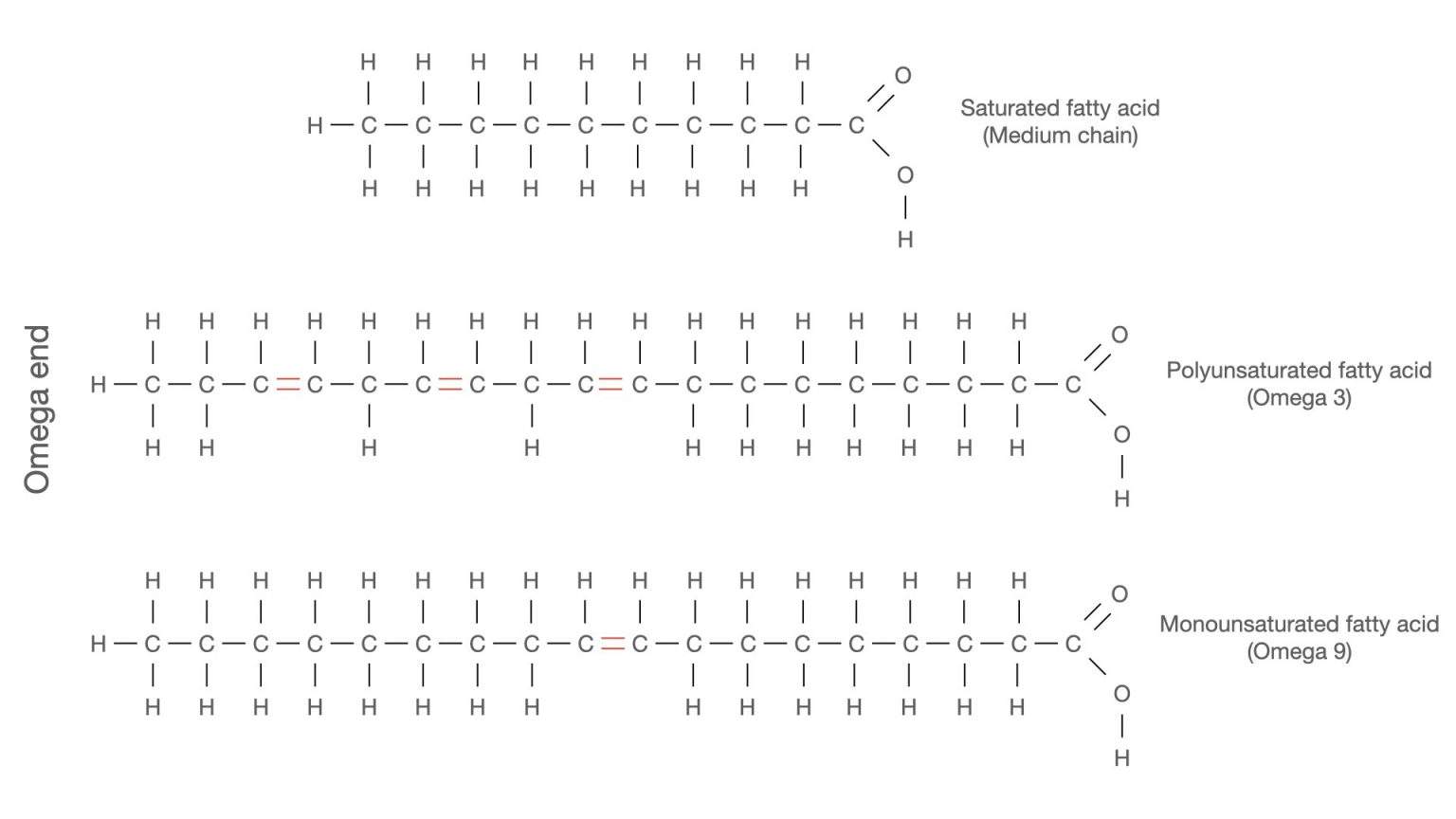 Eat Real Food. Part 1 - Dietary Fats | SiLKinesiology