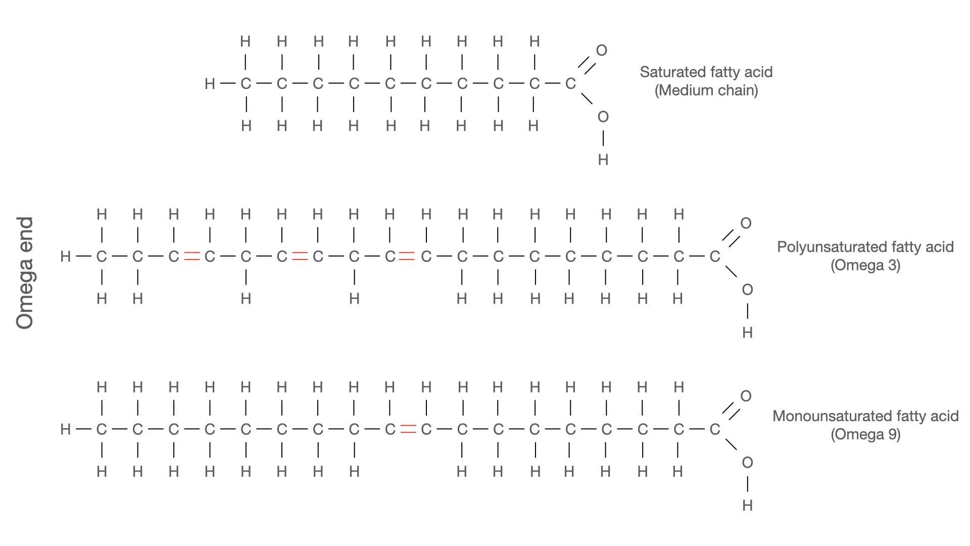 Eat Real Food. Part 1 - Dietary Fats | SiLKinesiology